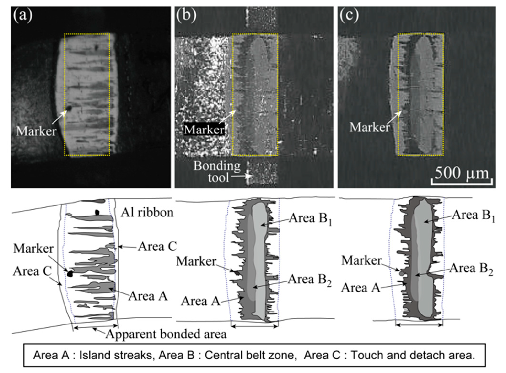 In-Situ Observation of Adhesion Behavior During Ultrasonic Al Ribbon ...