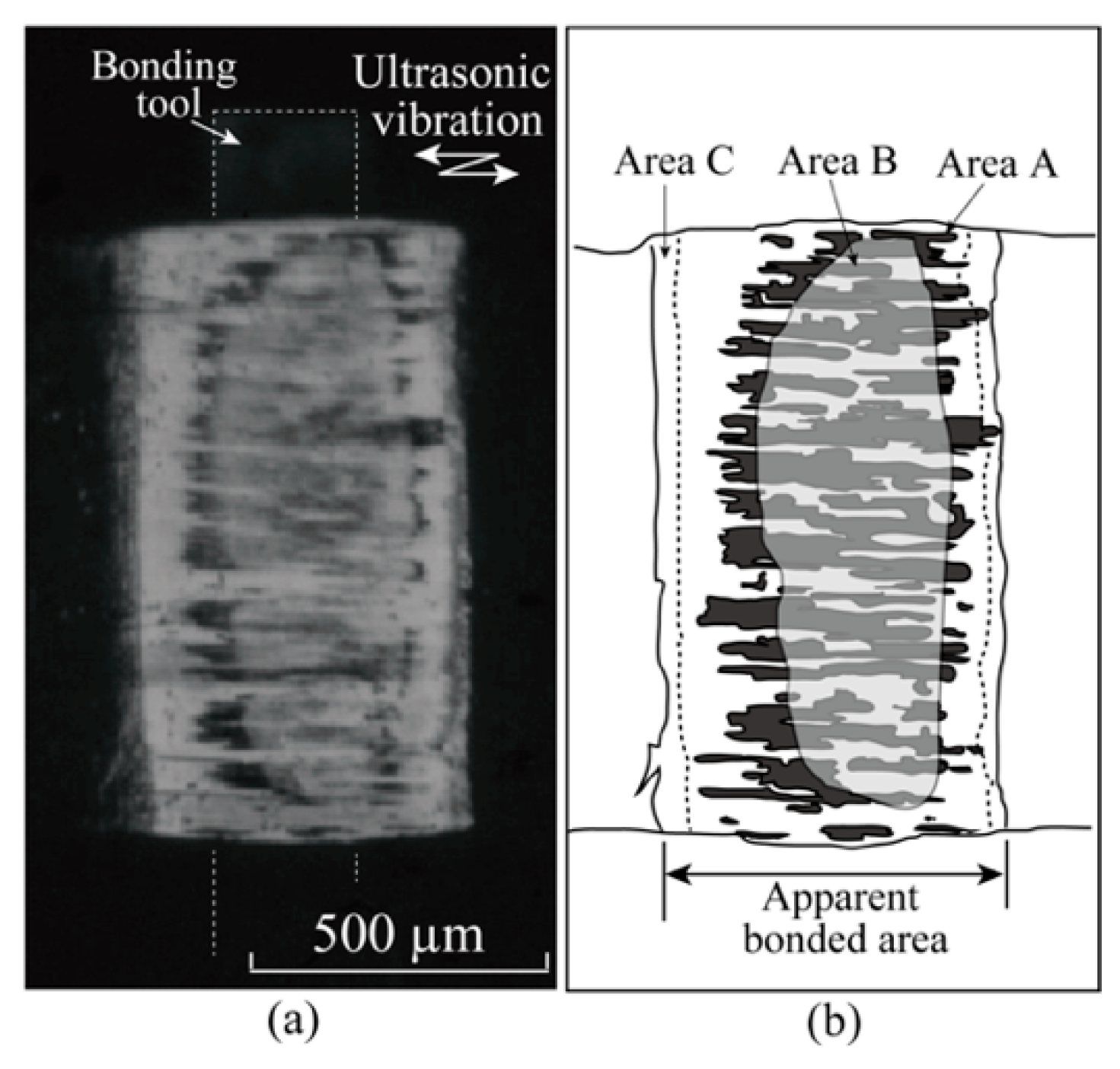 In-Situ Observation of Adhesion Behavior During Ultrasonic Al Ribbon ...