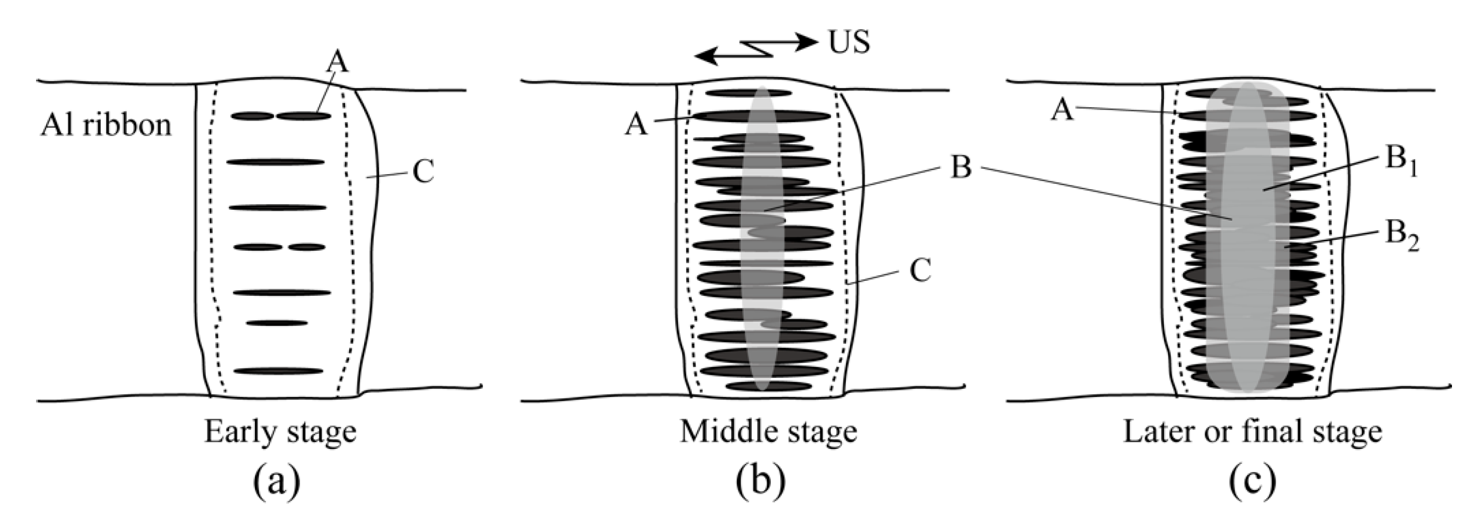 In-Situ Observation of Adhesion Behavior During Ultrasonic Al Ribbon ...