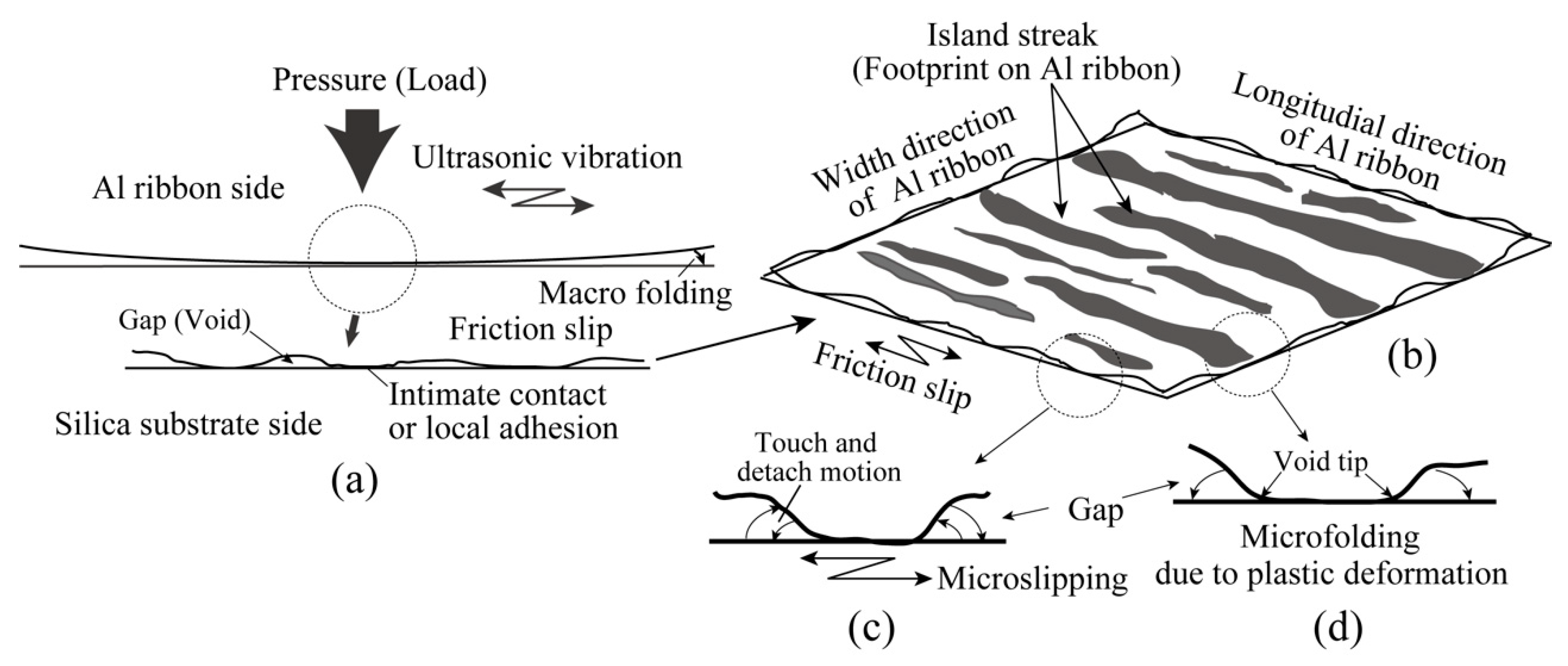 In-Situ Observation of Adhesion Behavior During Ultrasonic Al Ribbon ...