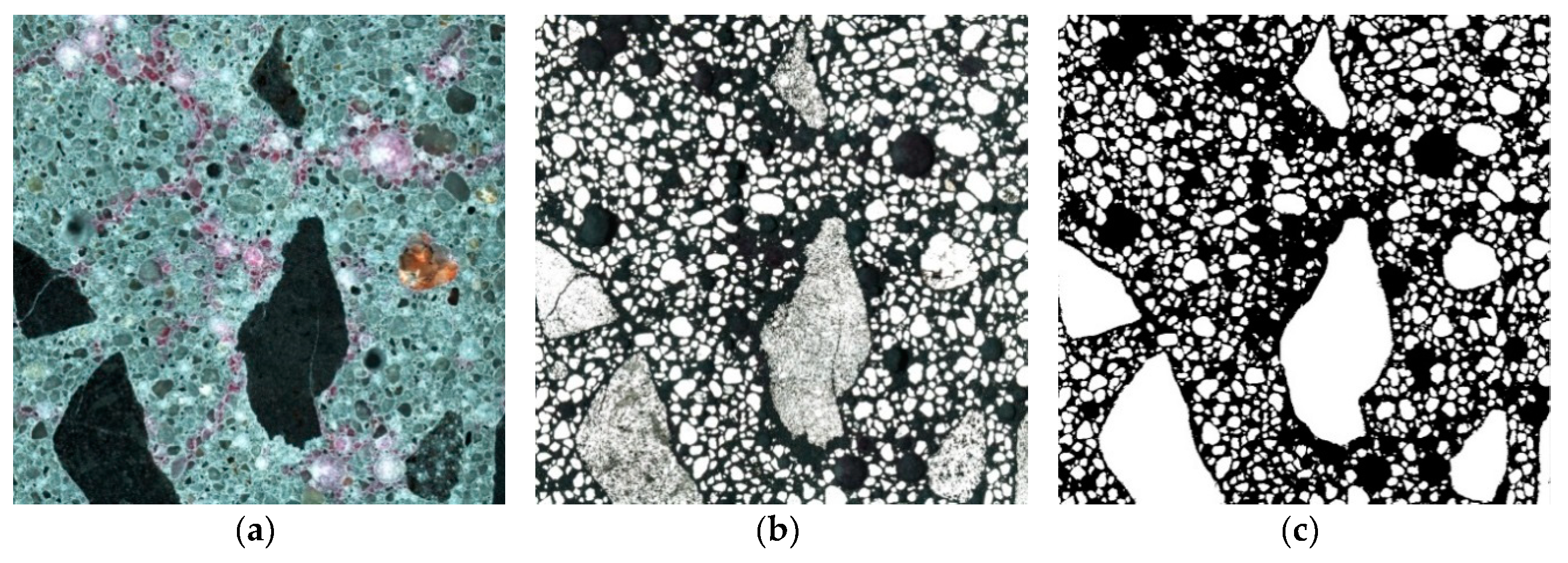 The Use of a Special Stereoscopic Microscope Attachment for the Sieve ...