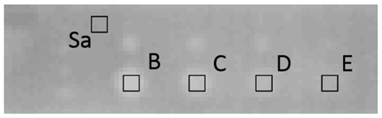Reconstruction of Simulated Cylindrical Defects in Acrylic Glass Plate ...