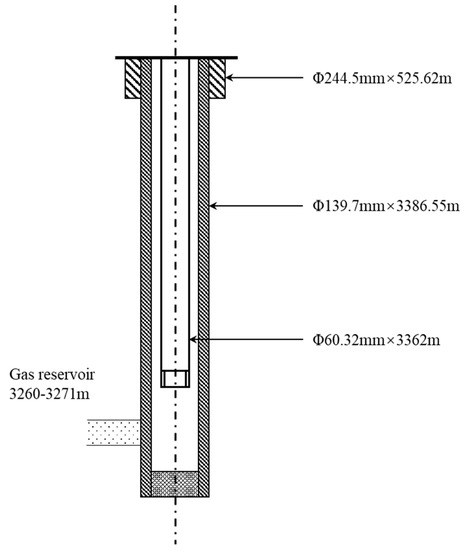 Study on the Wellbore Flow for Carbon Dioxide Fracturing