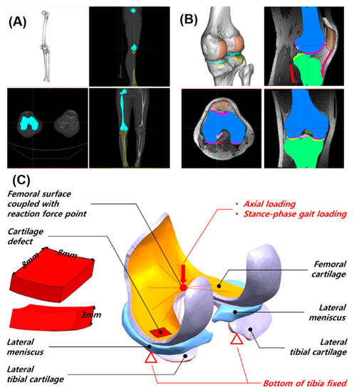 Applied Sciences | Special Issue : Biomaterials for Bone Tissue Engineering