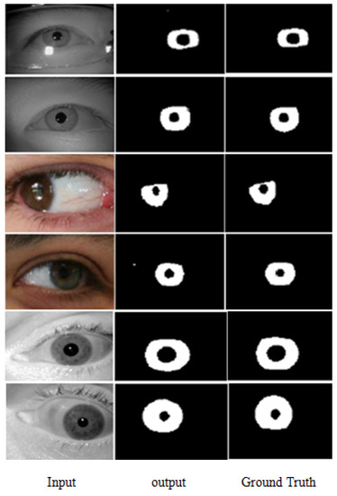 FMnet: Iris Segmentation and Recognition by Using Fully and Multi-Scale CNN for Biometric Security