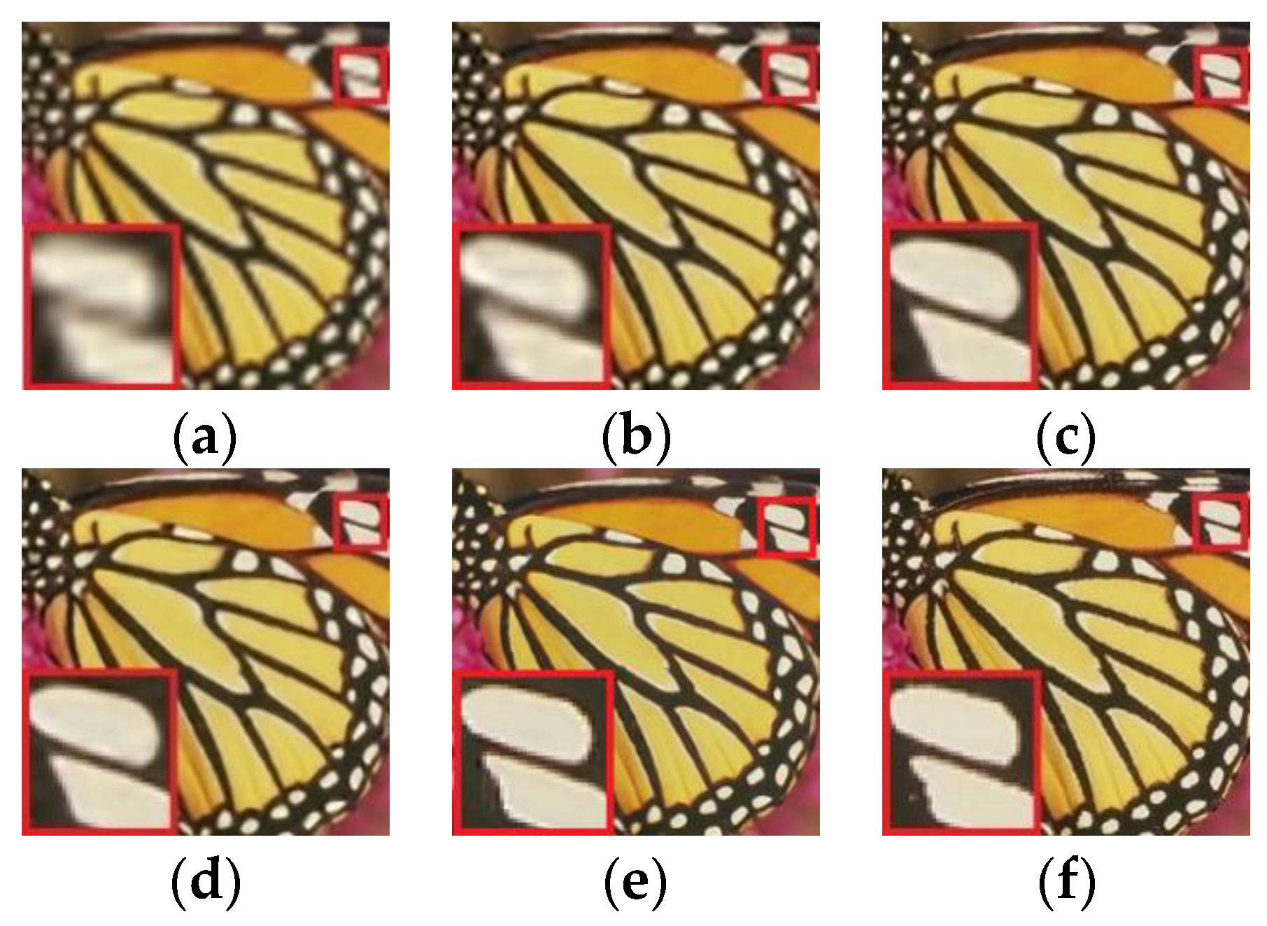 Applied Sciences | Free Full-Text | Image Super-Resolution Algorithm ...