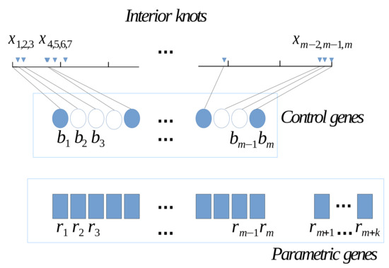 Parallel Hierarchical Genetic Algorithm for Scattered Data Fitting through B-Splines