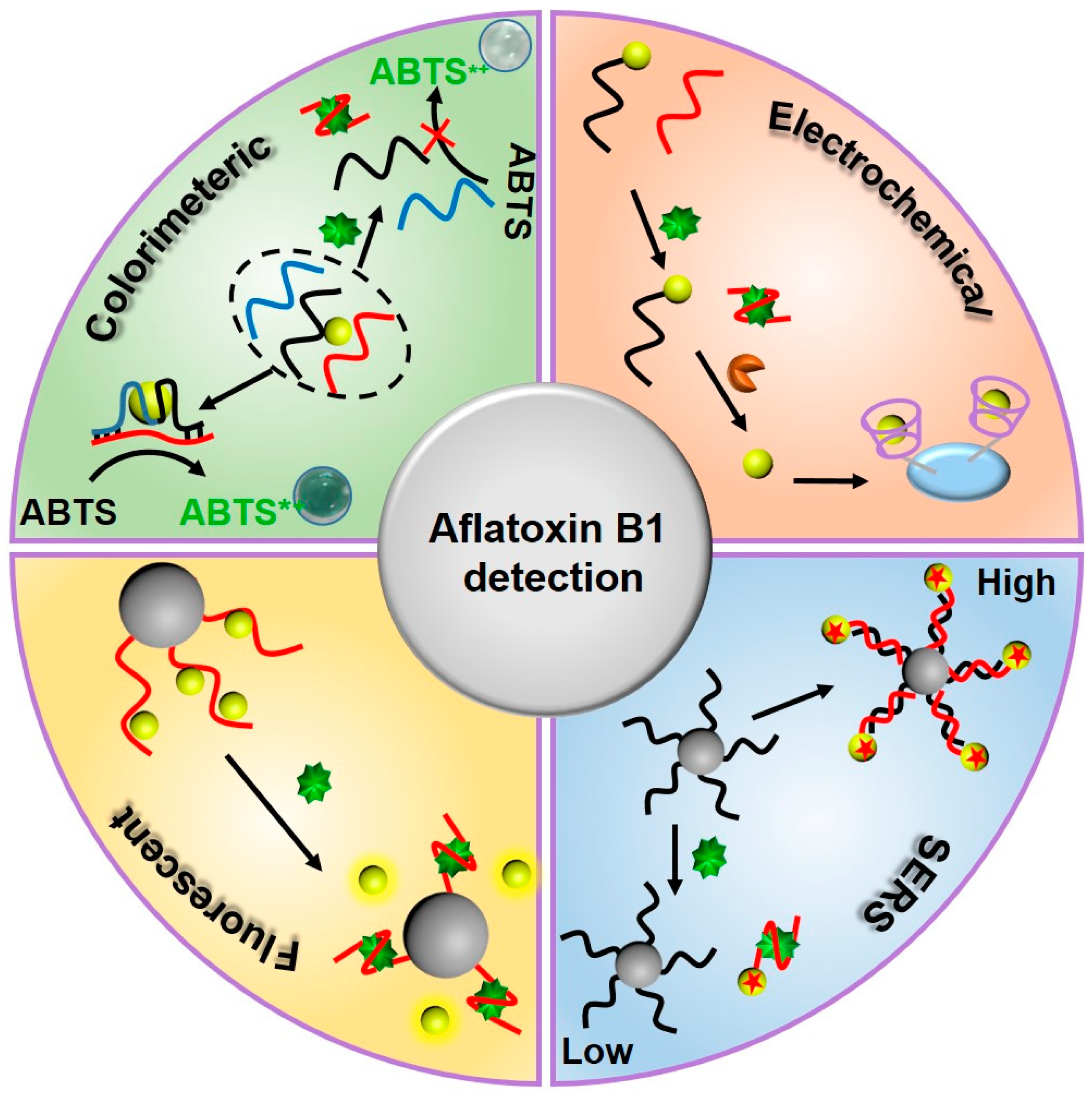 Recent Development of Aptamer Sensors for the Quantification of Aflatoxin B1