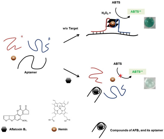 Recent Development of Aptamer Sensors for the Quantification of ...
