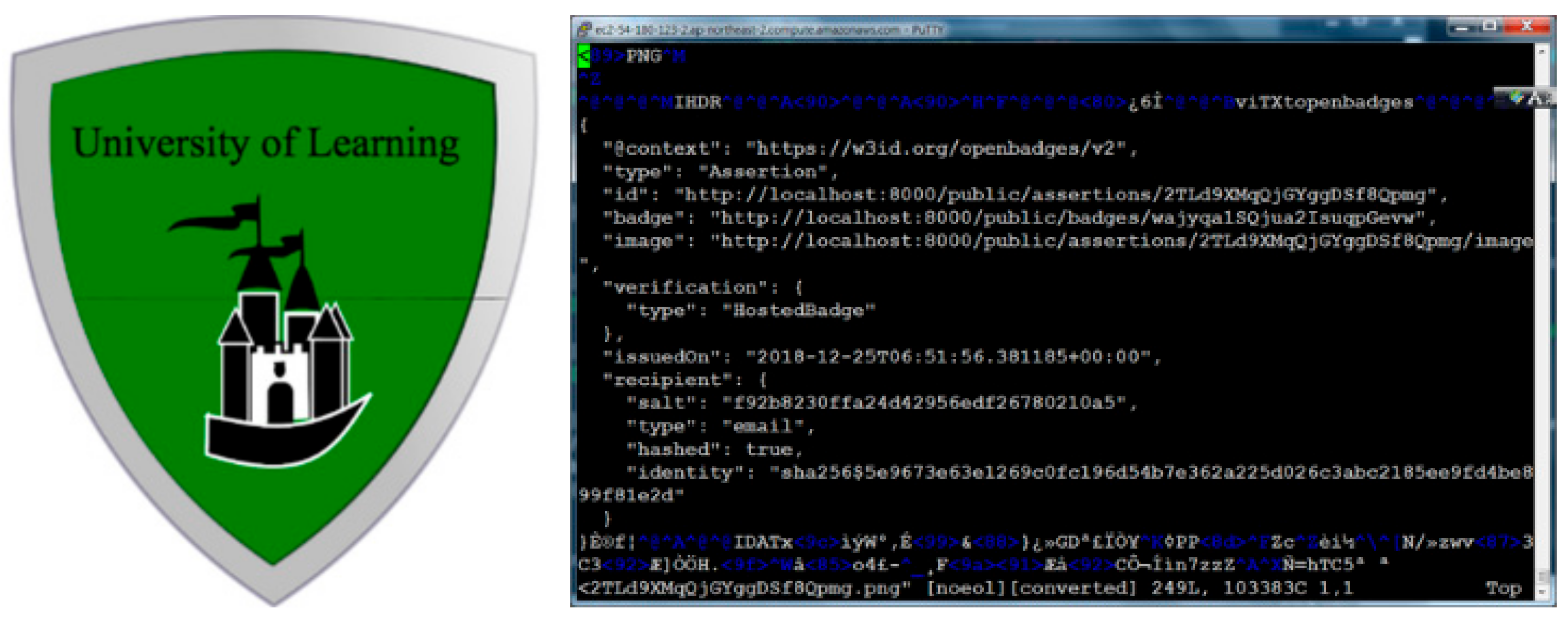 Blockchain-Based Badge Award with Existence Proof