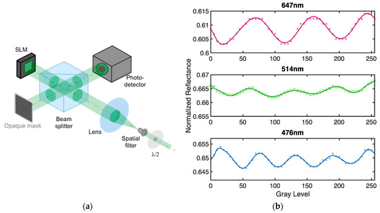 Applied Sciences | Free Full-Text | Liquid Crystal Spatial Light ...