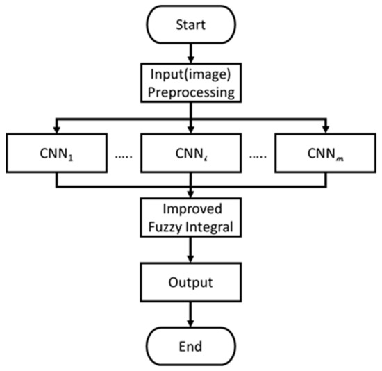 Multiple Convolutional Neural Networks Fusion Using Improved Fuzzy Integral for Facial Emotion ...