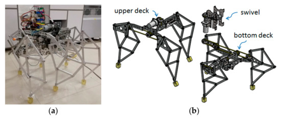 The Design and Building of a Hexapod Robot with Biomimetic Legs