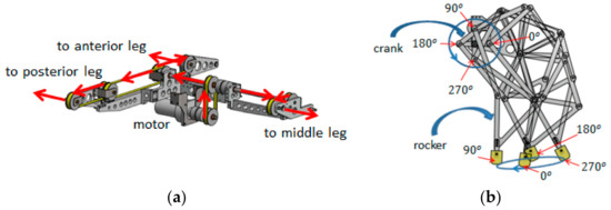 The Design and Building of a Hexapod Robot with Biomimetic Legs