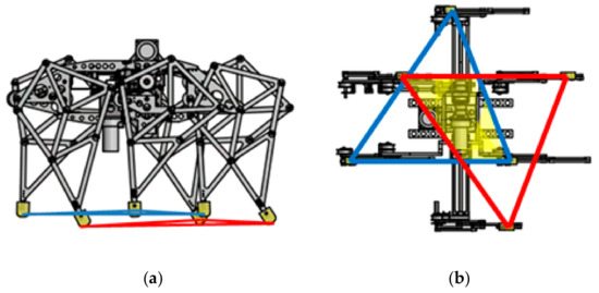 The Design and Building of a Hexapod Robot with Biomimetic Legs