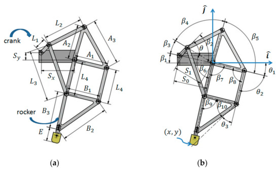 The Design and Building of a Hexapod Robot with Biomimetic Legs