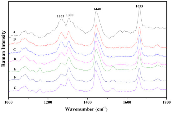 Raman Spectroscopy and 2DCOS Analysis of Unsaturated Fatty Acid in ...