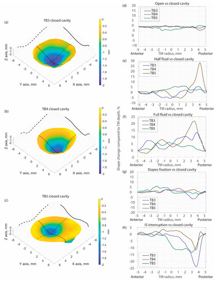 High-Speed Holographic Shape and Full-Field Displacement Measurements ...