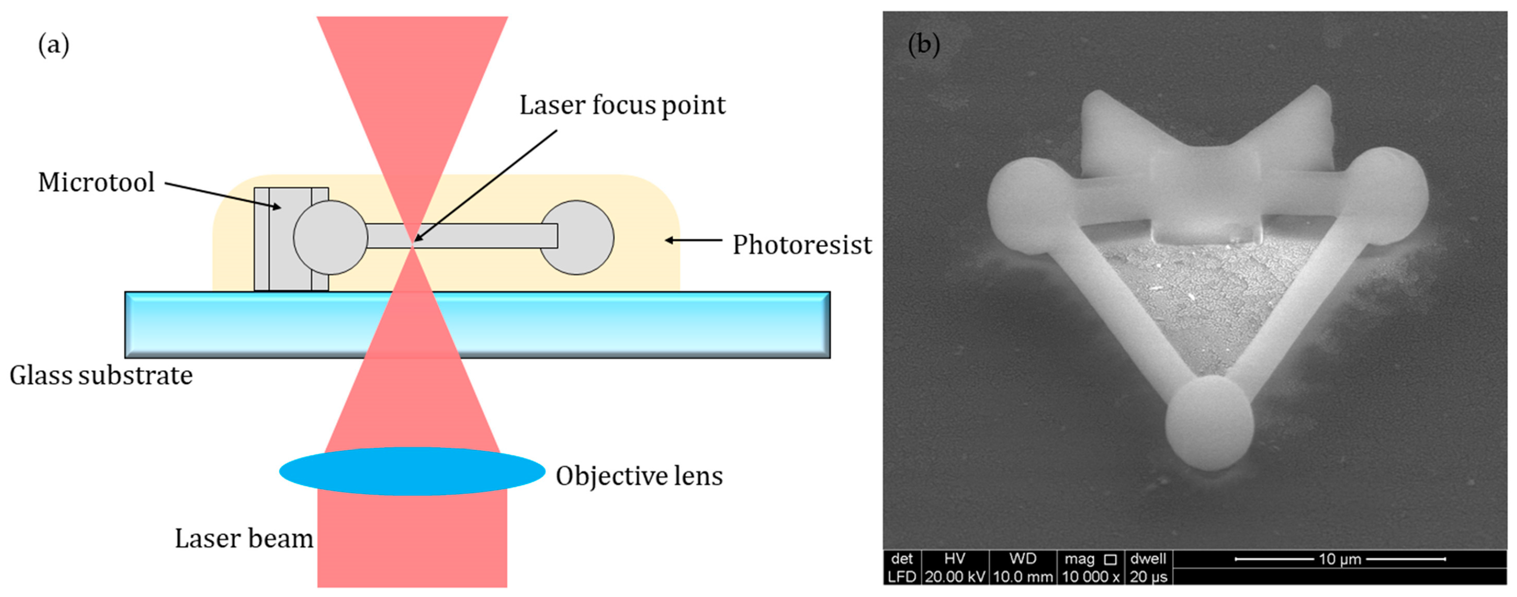 Automated Indirect Transportation of Biological Cells with Optical ...