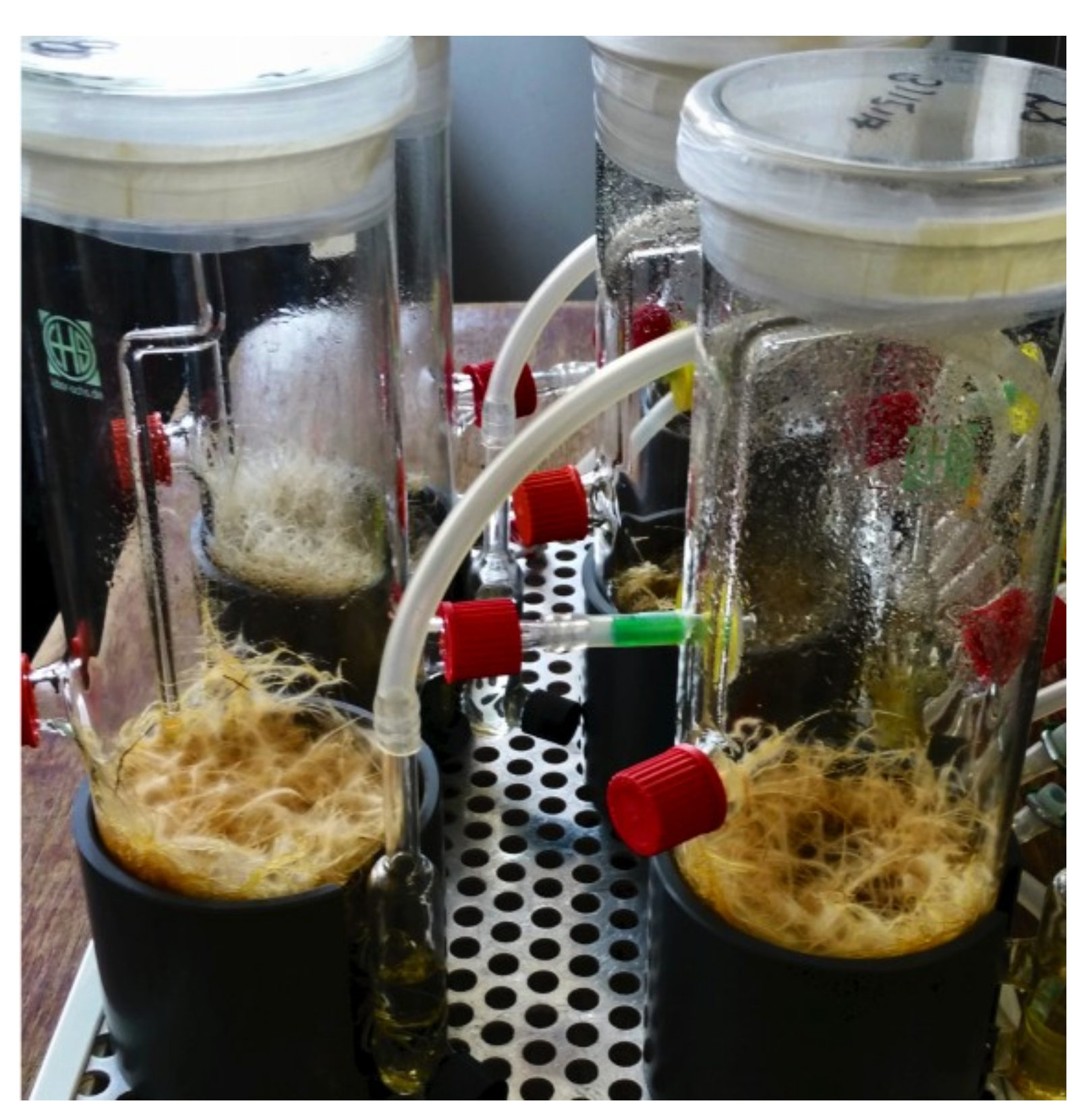 Small-Scale Bioreactor for Sterile Hydroponics and Hairy Roots ...