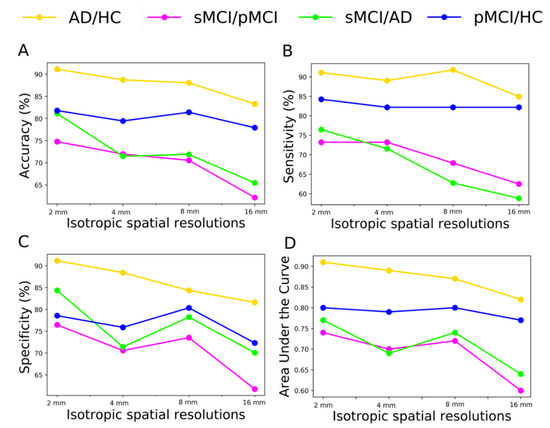 Identification of Alzheimer’s Disease on the Basis of a Voxel-Wise Approach