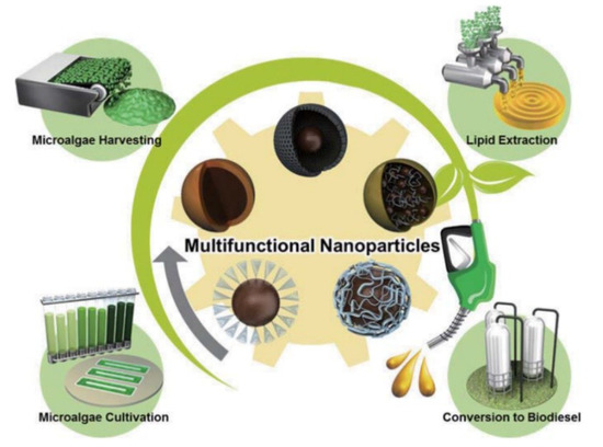 Flocculation Harvesting Techniques for Microalgae: A Review