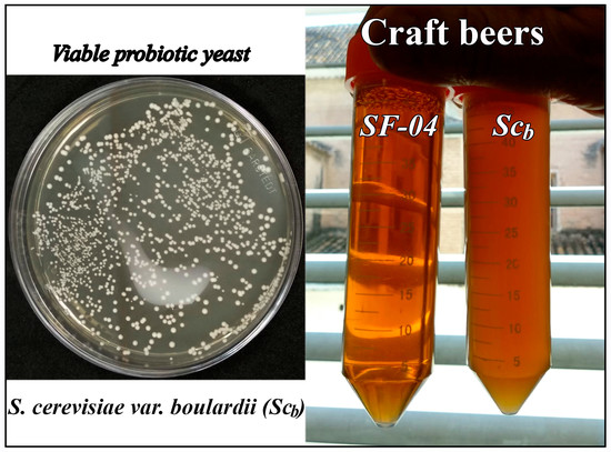 Applied Sciences | Free Full-Text | Saccharomyces Cerevisiae Var ...
