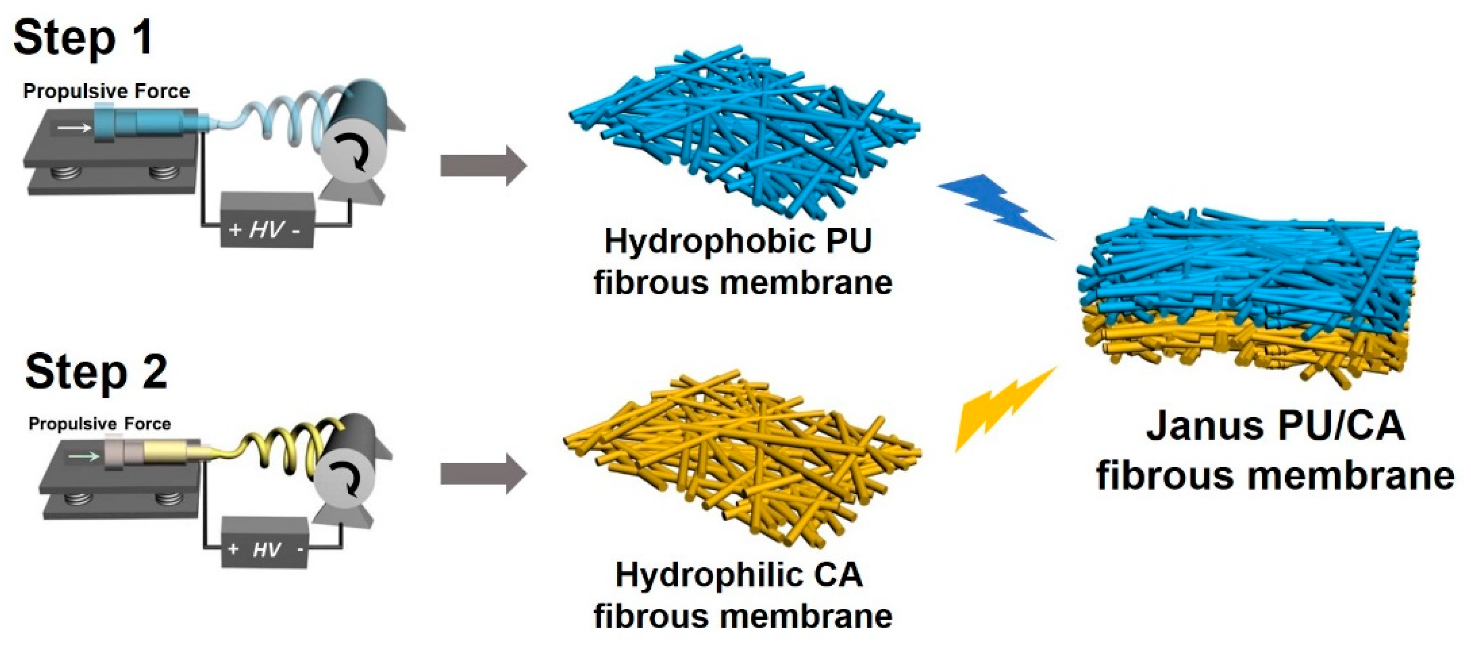Novel Janus Fibrous Membranes with Enhanced Directional Water Vapor Transmission