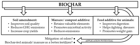 A Review of Biochar Properties and Their Utilization in Crop ...