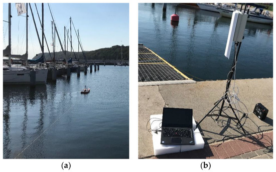 Use of a Weighted ICP Algorithm to Precisely Determine USV Movement Parameters