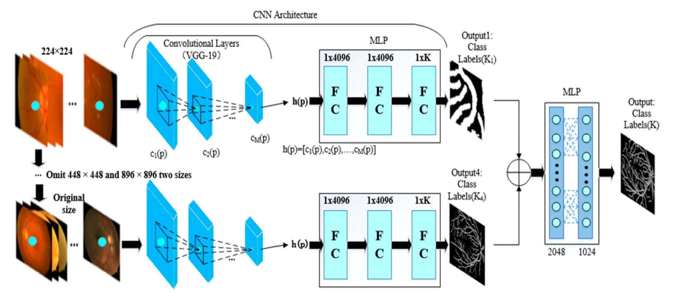Applied Sciences | Free Full-Text | Extracting Retinal Anatomy and ...