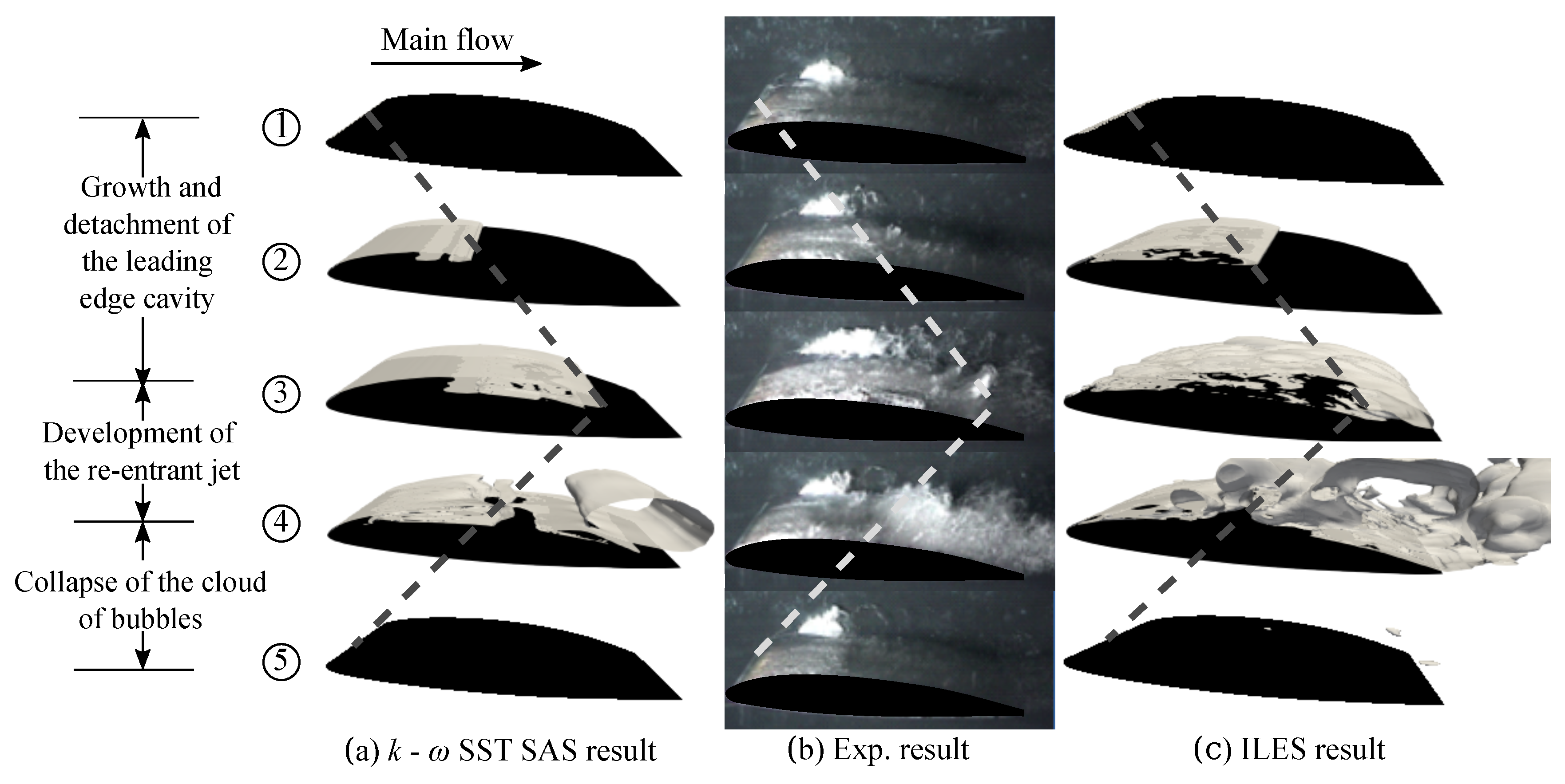 Scale-Adaptive Simulation of Unsteady Cavitation Around a Naca66 Hydrofoil