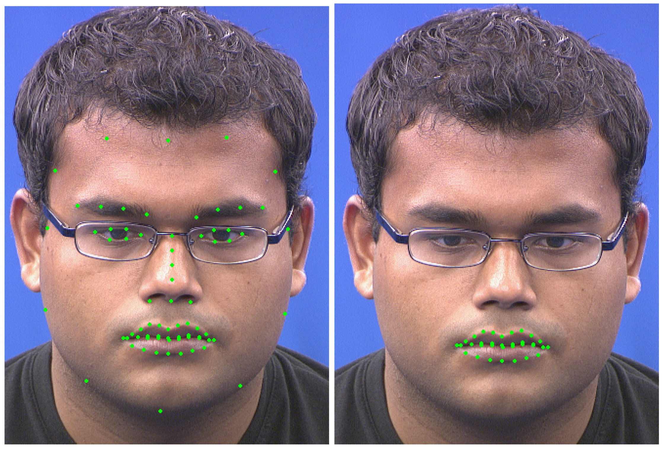 Alternative Visual Units for an Optimized Phoneme-Based Lipreading System