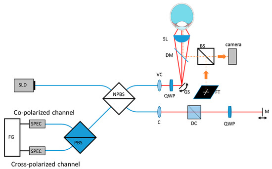 Ultrahigh Resolution Polarization Sensitive Optical Coherence ...