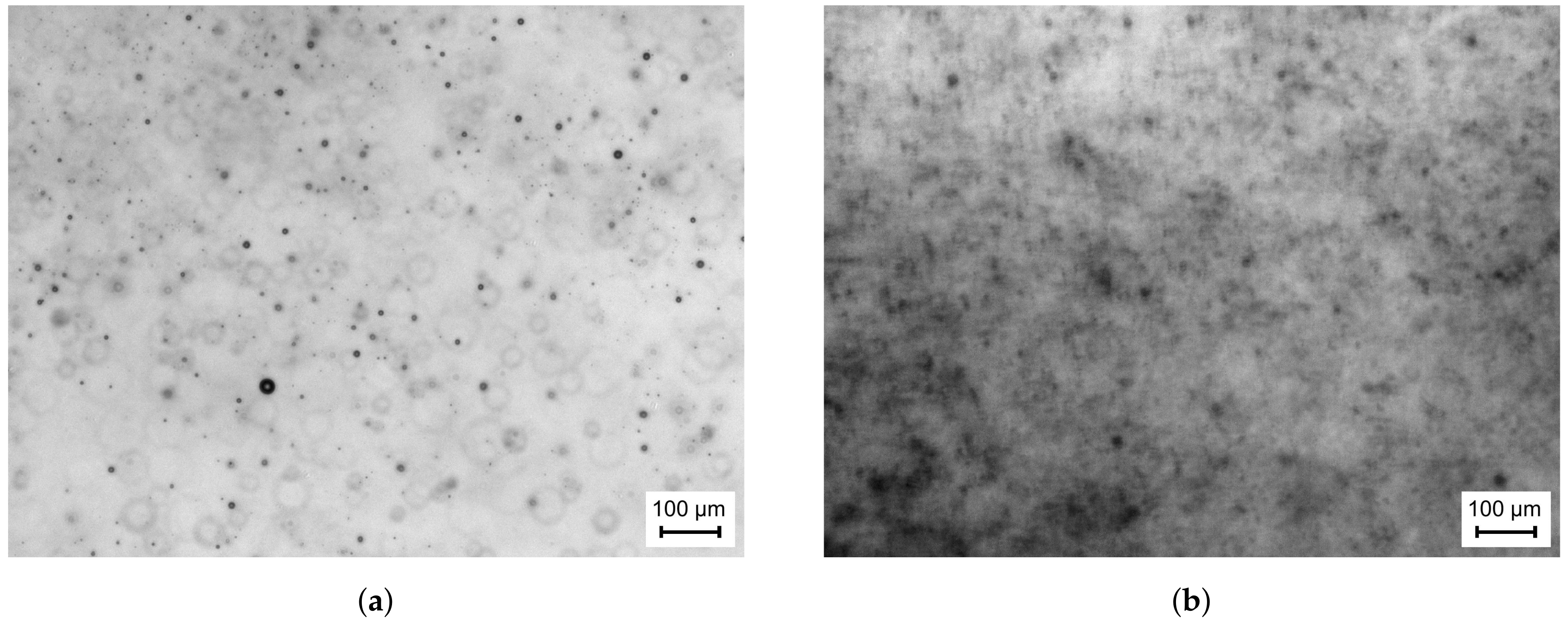 Microscopic Imaging Spray Diagnostics under High Temperature Conditions ...