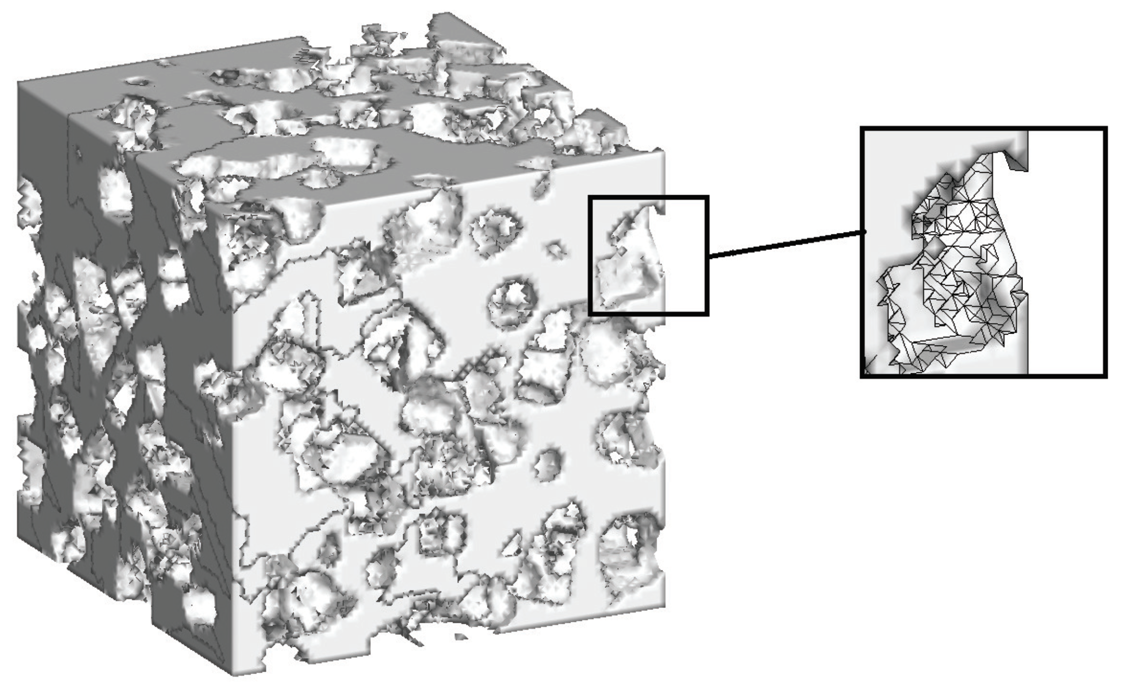 Finite Element Modeling of Porous Microstructures With Random Holes of Different-Shapes and ...