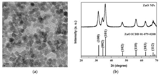 Correlation between the Morphology of ZnO Layers and the ...