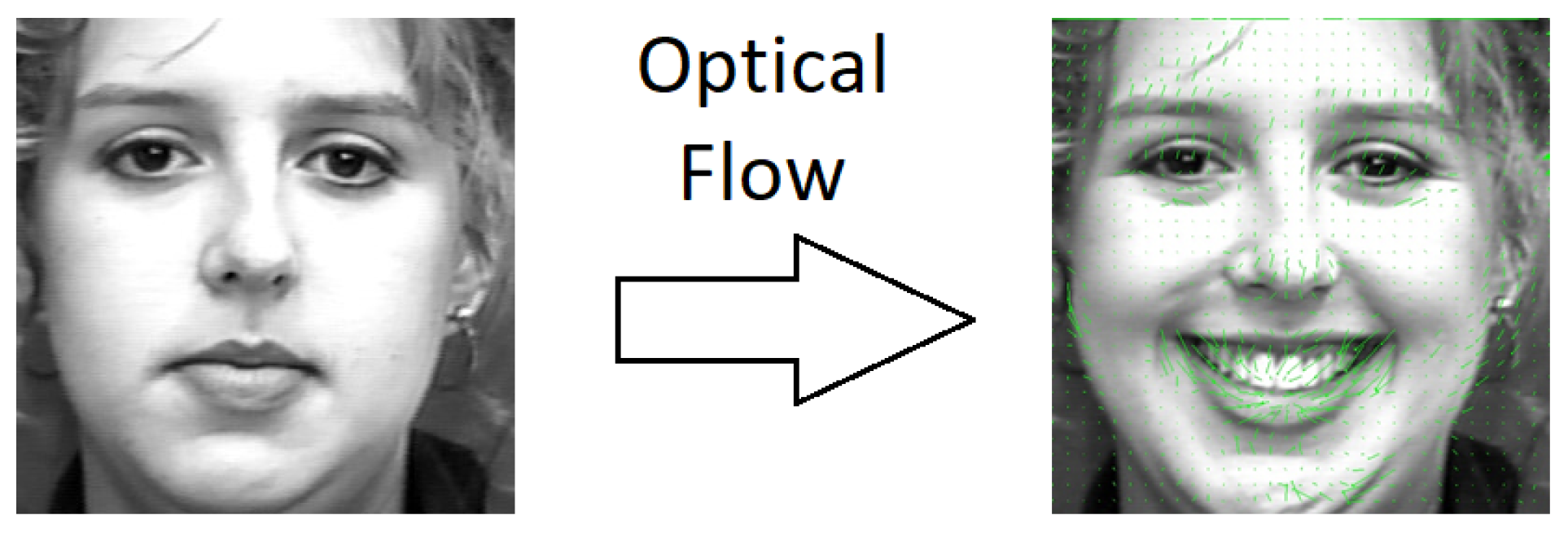 Applied Sciences | Free Full-Text | Facial Expression Recognition Using ...