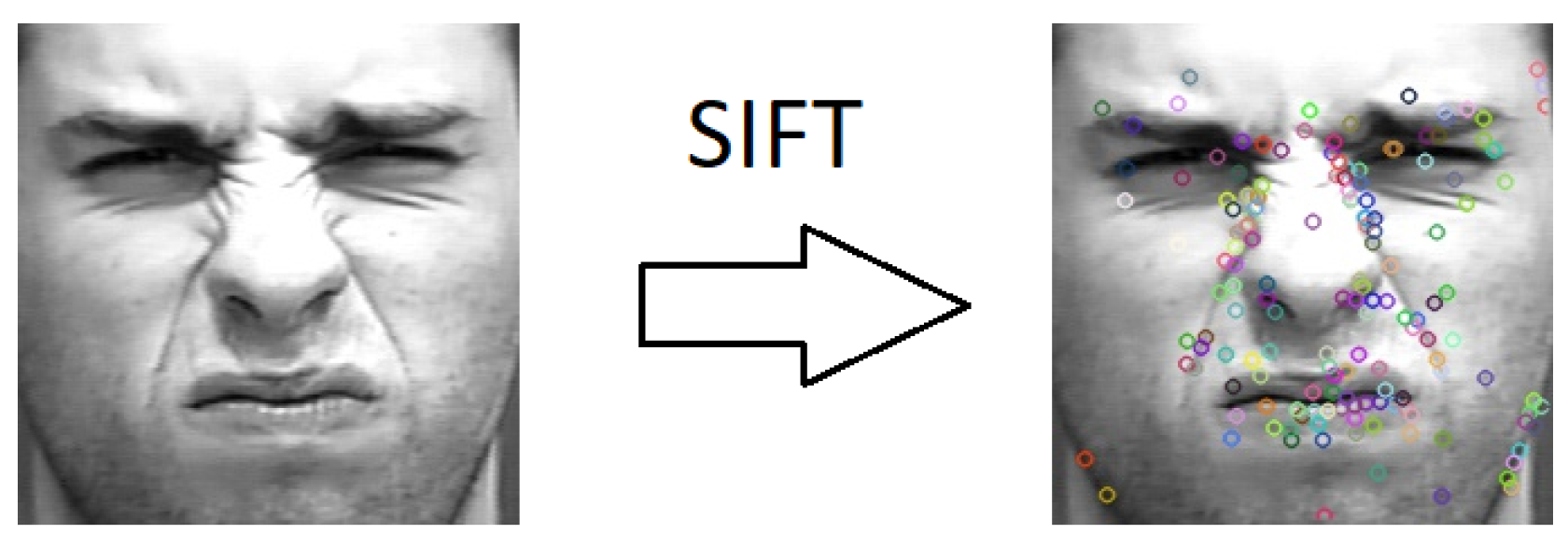 Applied Sciences | Free Full-Text | Facial Expression Recognition Using ...