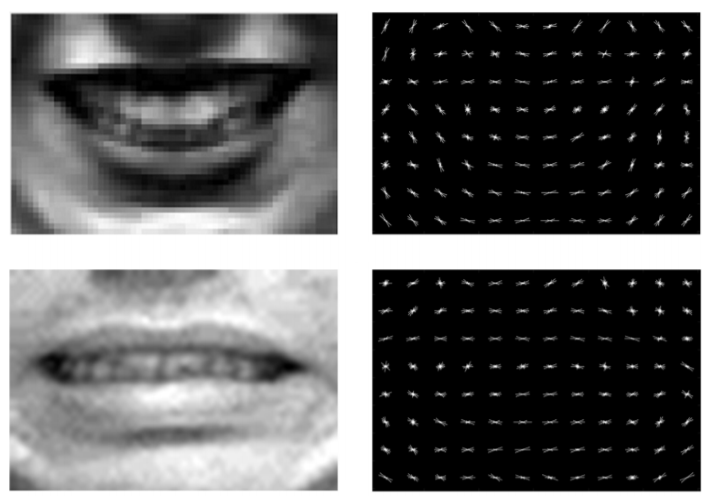 Applied Sciences | Free Full-Text | Facial Expression Recognition Using ...