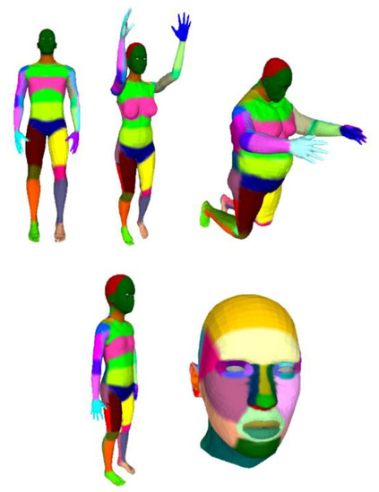 3D Modelling for Solar Erythemal UV Protection Provided by Human Hair