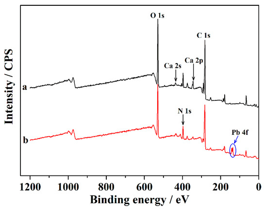Facile Fabrication of a Low-Cost Alginate-Polyacrylamide Composite ...