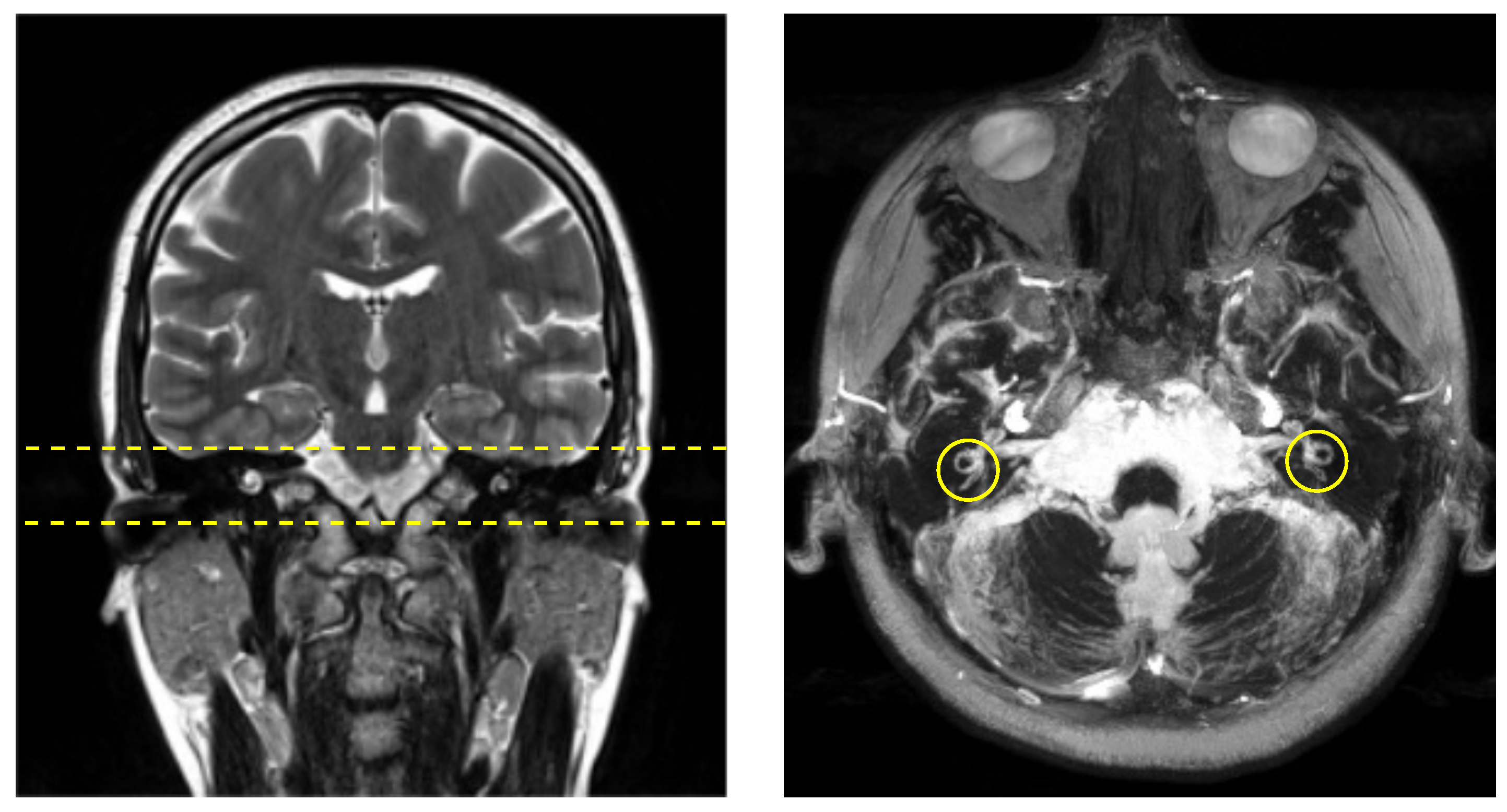 Applied Sciences | Free Full-Text | Systematic Method for Morphological ...