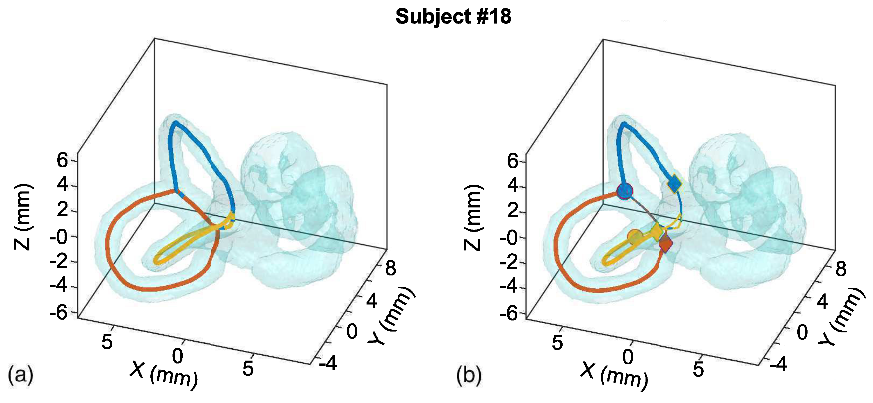 Applied Sciences | Free Full-Text | Systematic Method for Morphological ...