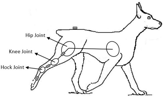A Neuro-Prosthetic Device for Substituting Sensory Functions during ...