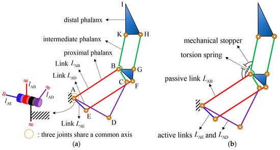 Design and Implementation of a Multi-Function Gripper for Grasping General Objects