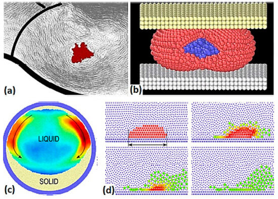 Deep Multiphysics And Particleneuron Duality A Computational Framework Coupling Discrete