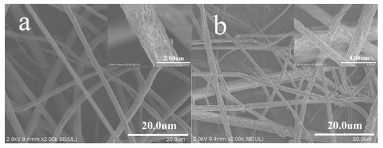 Electrospinning-Derived PLA/Shellac/PLA Sandwich—Structural Membrane ...