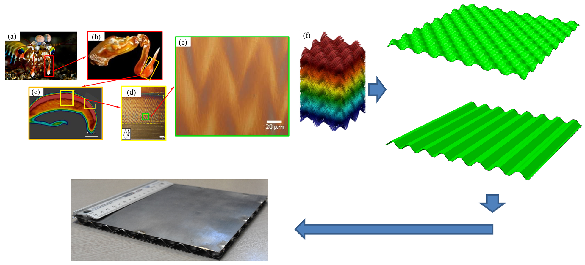 Applied Sciences | Free Full-Text | Thermomechanical Performance of Bio ...
