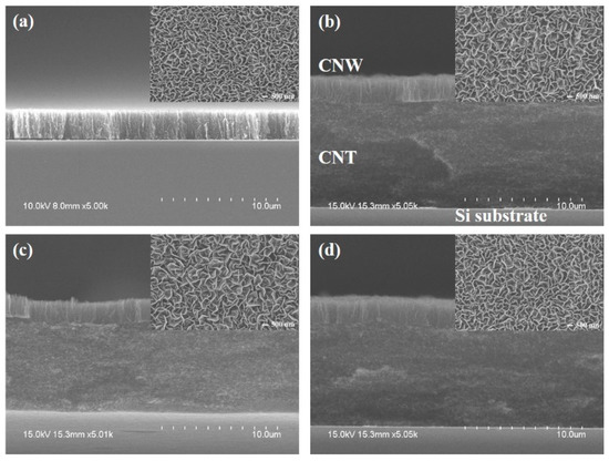 Study of a Carbon Nanowall Synthesized on an MWCNT-Based Buffer Layer ...